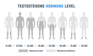 Can High Testosterone Levels Cause Hair Loss?